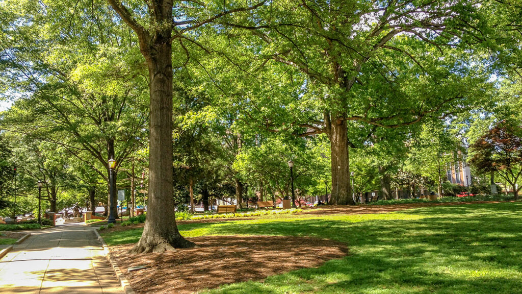 Nash Square | Junkahaulics | Raleigh | North Carolina